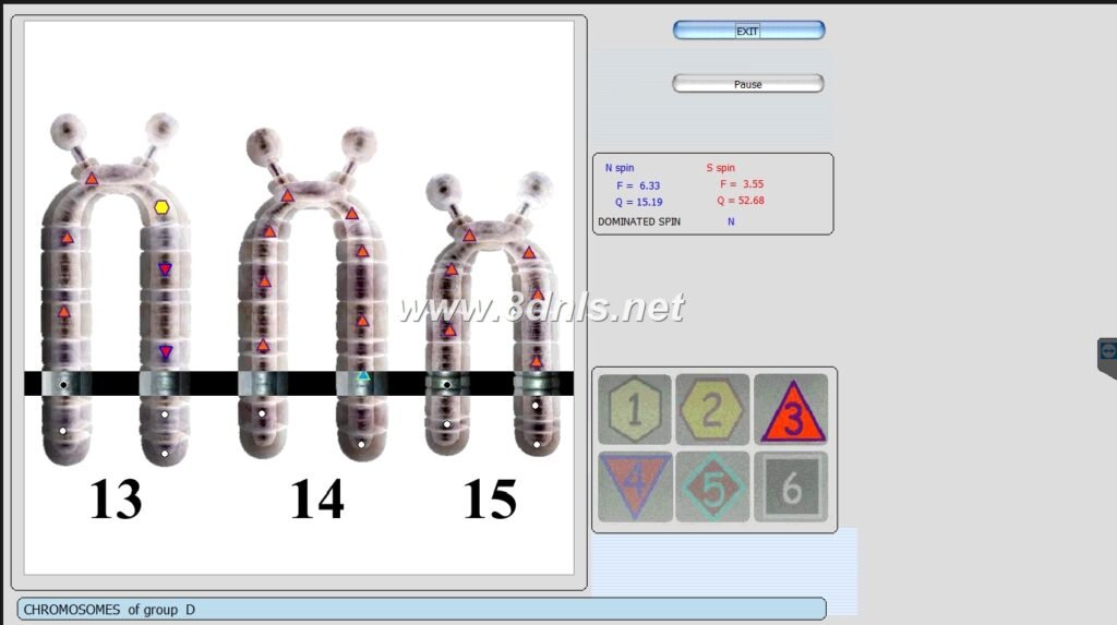 Hunter Metatron Device: Expert Guide To Advanced Bioresonance ...