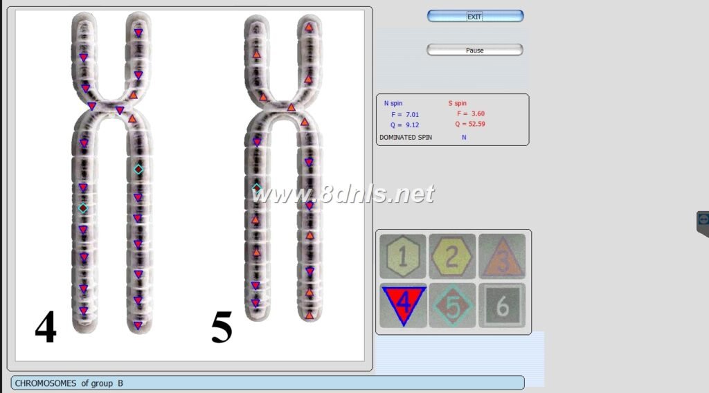 Hunter Metatron Device: Expert Guide To Advanced Bioresonance ...
